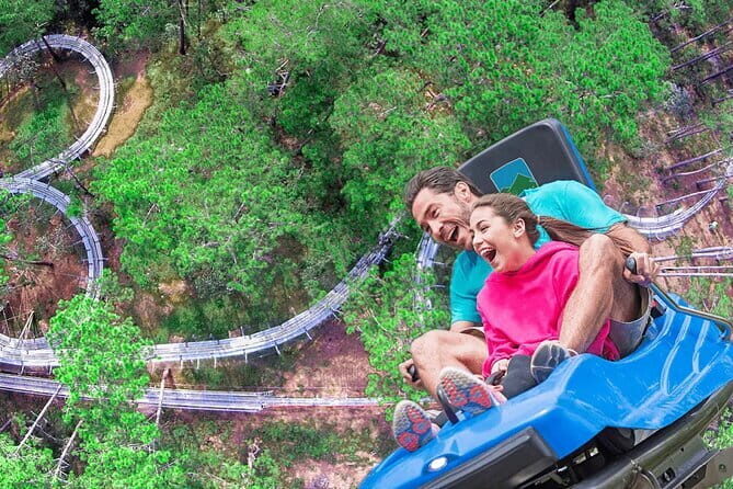 City Sightseeing Da Lat Hop-On Hop-Off Bus Tour - Who Should Consider This Tour?