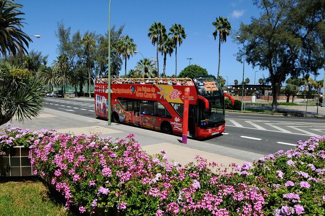 City Sightseeing Las Palmas de Gran Canaria Hop-On Hop-Off Bus Tour - What You’ll Experience During the Tour