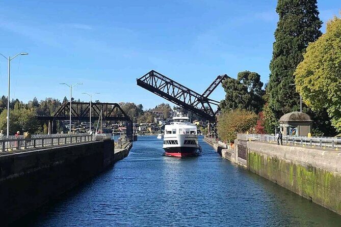 City Sightseeing Seattle HOHO Bus and Locks or Harbour Cruise - The Cruise Options — Locks vs. Harbour