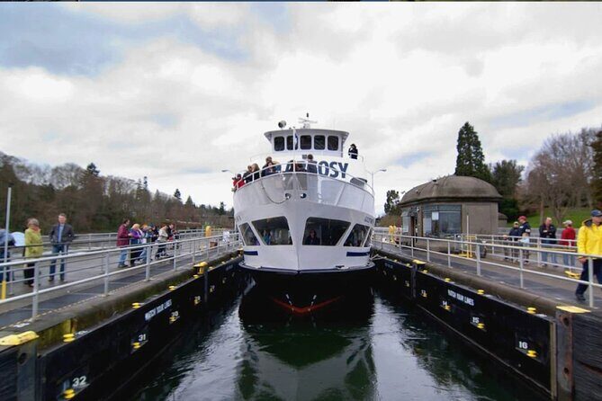 City Sightseeing Seattle HOHO Bus and Locks or Harbour Cruise - The Value Proposition — Is It Worth It?