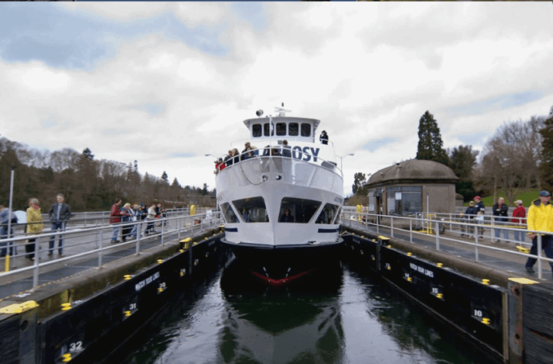 City Sightseeing Seattle: HOHO Bus Tour + Locks Cruise - Pricing and Value