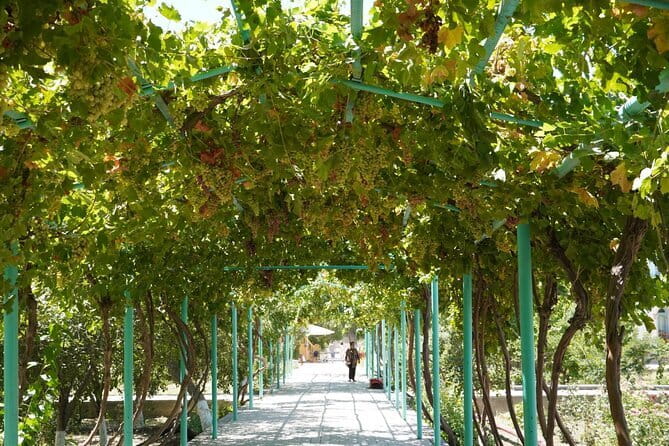 City Tour Around Bukhara - Who Will Benefit Most?