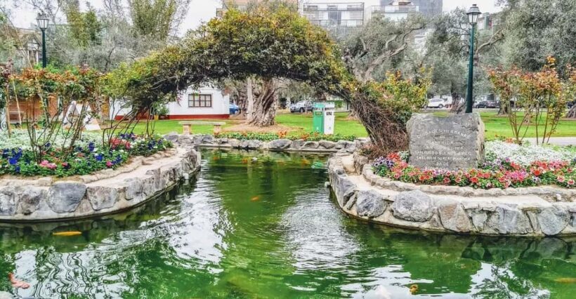 City Tour Colonial and Modern Lima for 5 Hours - Practical Details, Comfort, and Value