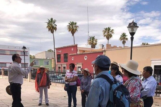 City tour - Who Will Love This Tour?