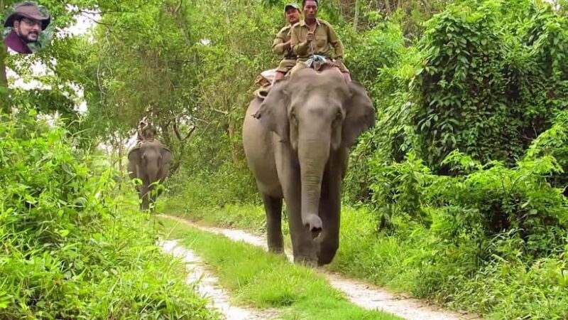 City Tour: Discover Aluthgama with Thrilling Adventures - Exploring the Main Attractions: From Temples to Rivers