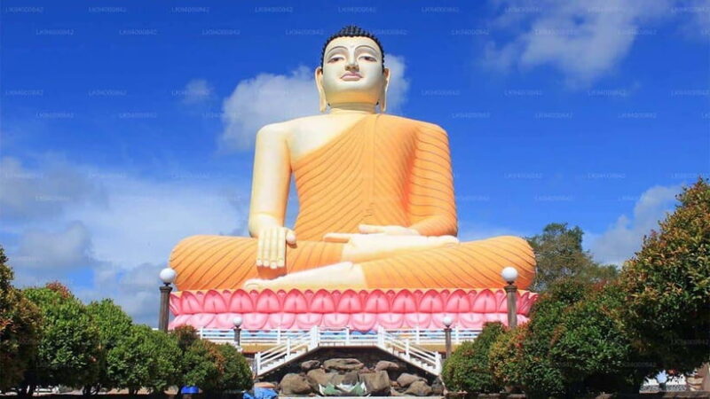 City Tour: Discover Aluthgama with Thrilling Adventures - The Practical Details: Comfort and Convenience