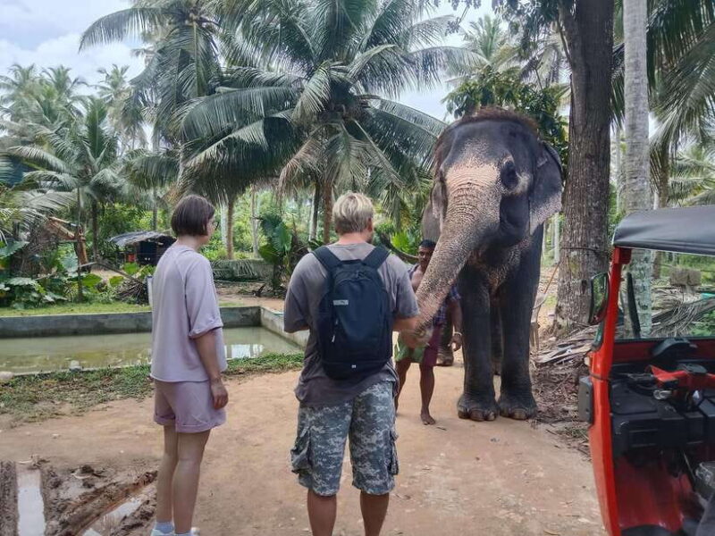 City Tour: Discover Aluthgama with Thrilling Adventures - Who Will Love This Tour?