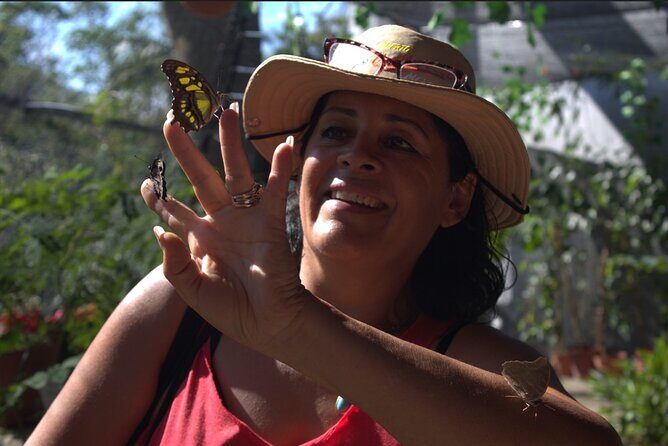 City tour express; butterfly, tequila, and beach an ecological day - An In-Depth Look at the Tour: What You Can Expect