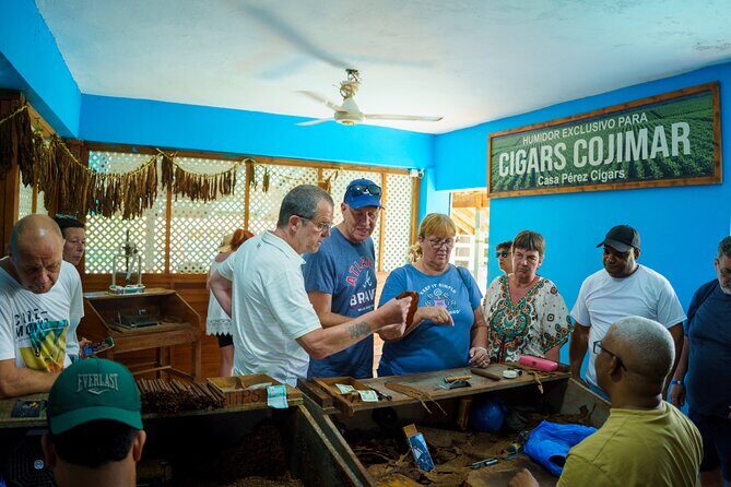 City Tour & Half-Day Safari Experiences - FAQs