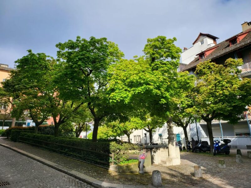 City Tour Historic Old Town Zurich - Planning Your Zurich Old Town Adventure