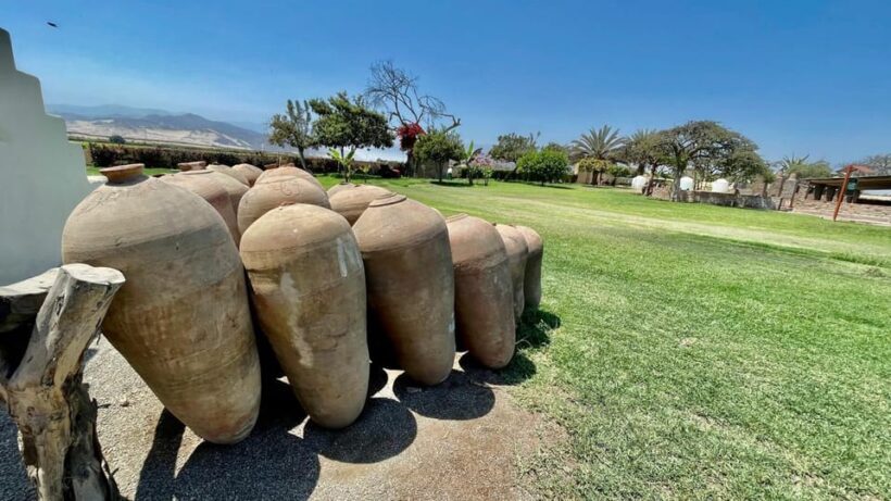 CITY TOUR ICA-HUACACHINA+BUGGIES IN PRIVATE CAR FROM PARACAS - Final Thoughts: An Authentic, Fun-Filled Day