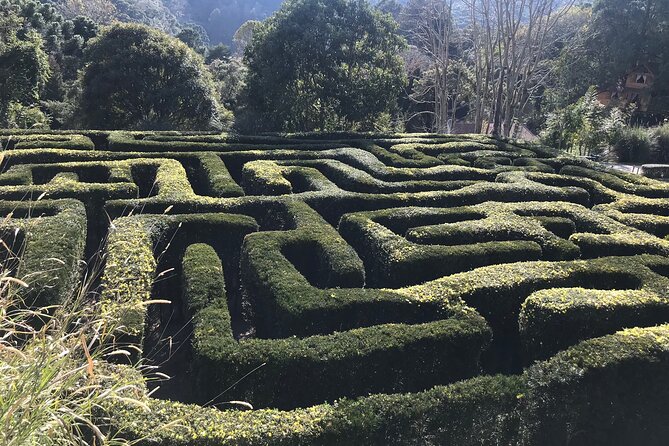 City Tour in Campos Do Jordão - Interaction With Guides