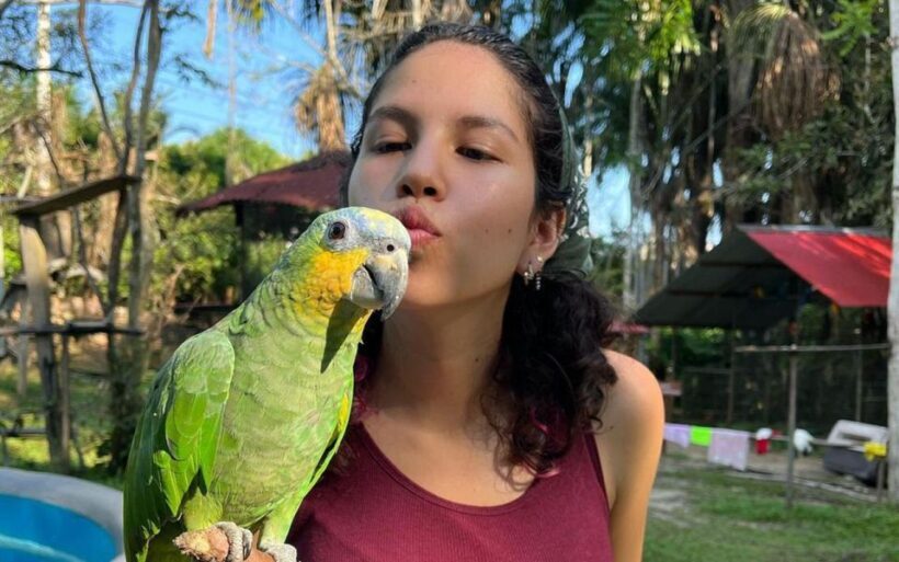 City tour in Iquitos full day with lunch included - An In-Depth Look at the City Tour in Iquitos