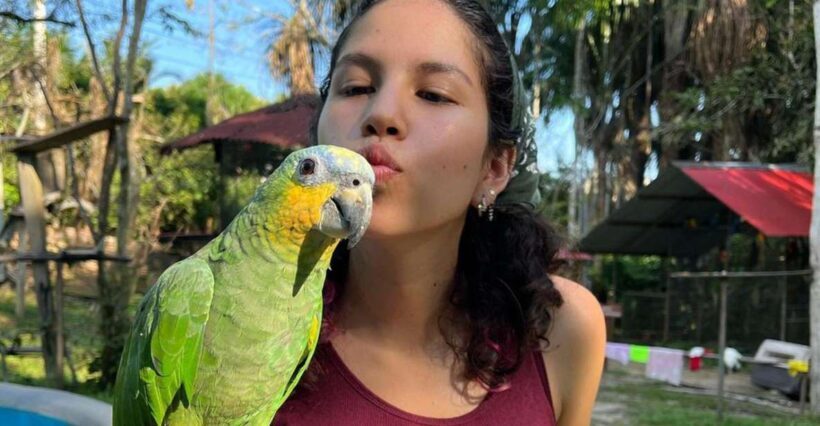 City tour in Iquitos full day with lunch included - Who Will Love This Tour?