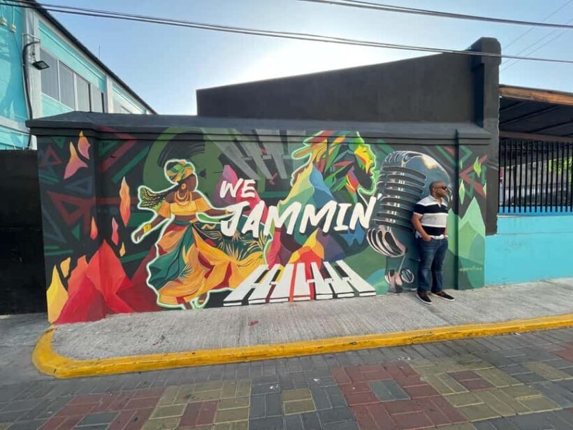 City Tour of Kingston Including Entry Fees - Key Points