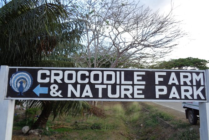 City Tour of Puerto Princesa sightseeing excursion - Analyzing the Experience: What You’ll Get