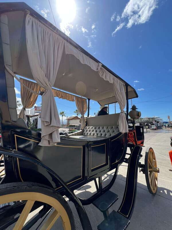 City tour on electric horse wagon. - Overview of the Experience