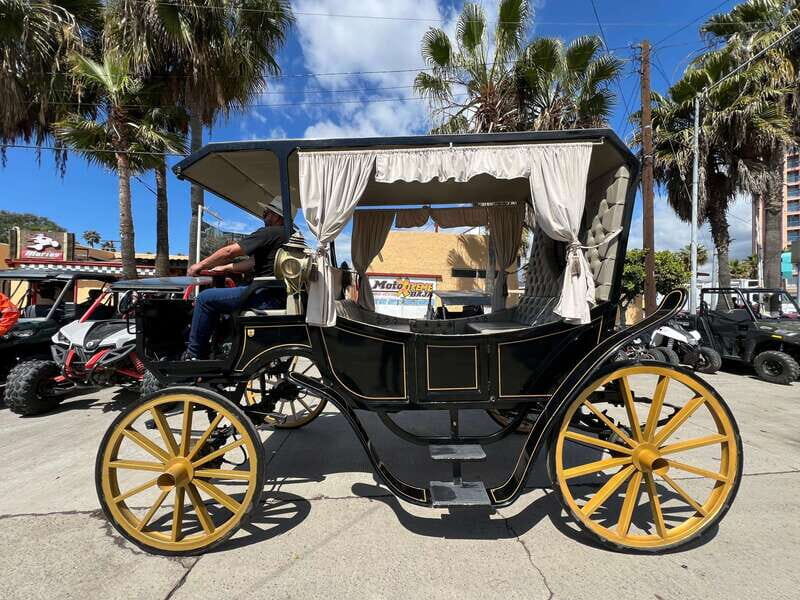 City tour on electric horse wagon. - What’s Included and What’s Not
