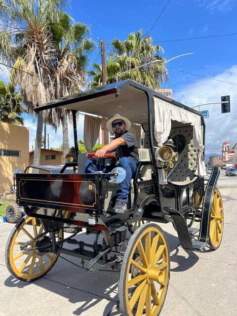 City tour on electric horse wagon. - Practical Tips for Booking and Enjoying the Ride