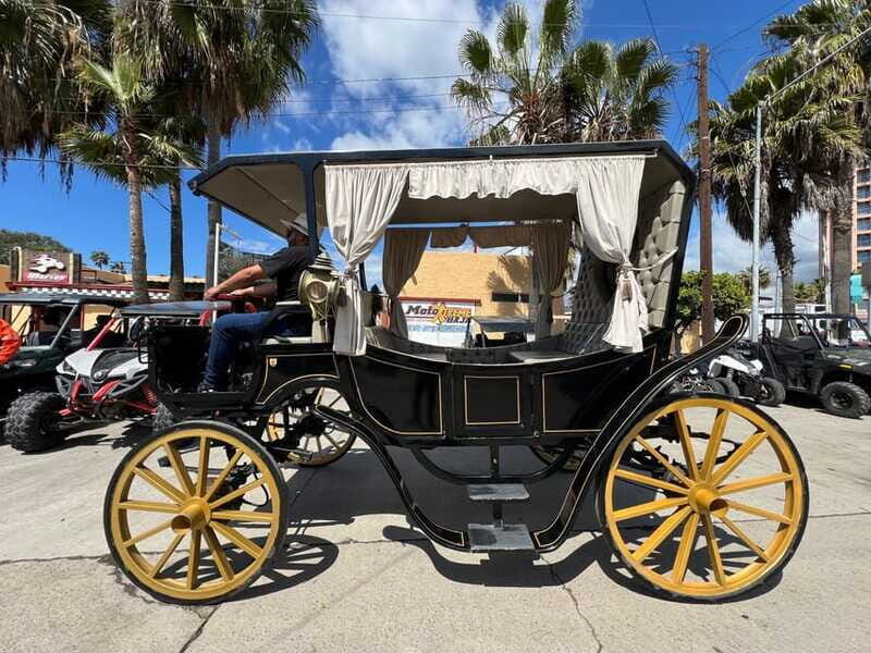 City tour on electric horse wagon. - Final Thoughts: Is It Worth Doing?
