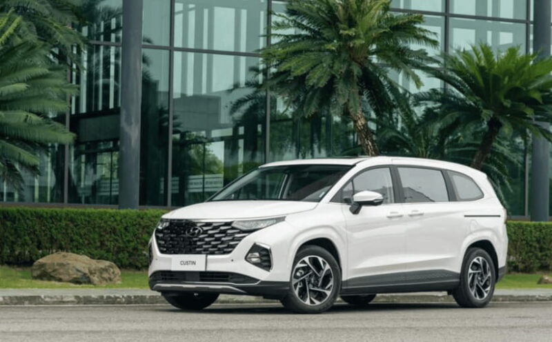 CITY TOUR PRIVATE CAR RENTAL FOR SIGHTSEEING IN NHA TRANG - What to Expect from the Experience