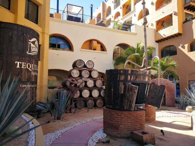 City Tour to Cabo San Lucas and Transparent boat to the Arch - Insights from Reviews