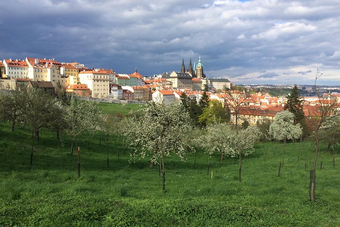 City tour to the top 10 attractions in Prague private tour - The Sum Up