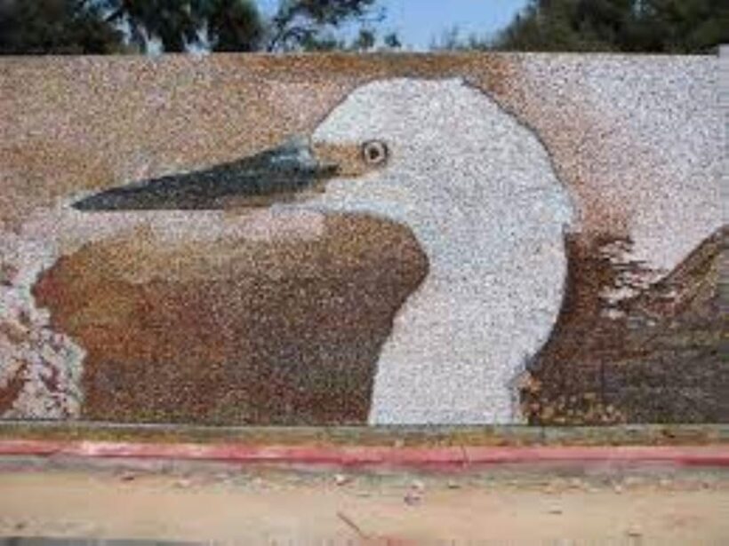 City Tour Trujillo |Panoramic bus| - Introduction