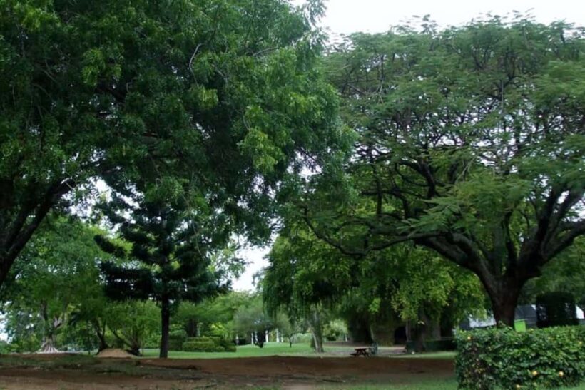 City Tour w/ Gardens, Volcano, Trafalgar Falls, Morne Bruce - Key Points