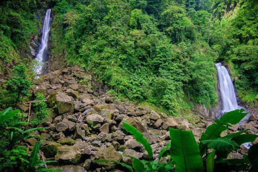 City Tour w/ Gardens, Volcano, Trafalgar Falls, Morne Bruce - What This Tour Covers and Why It Matters