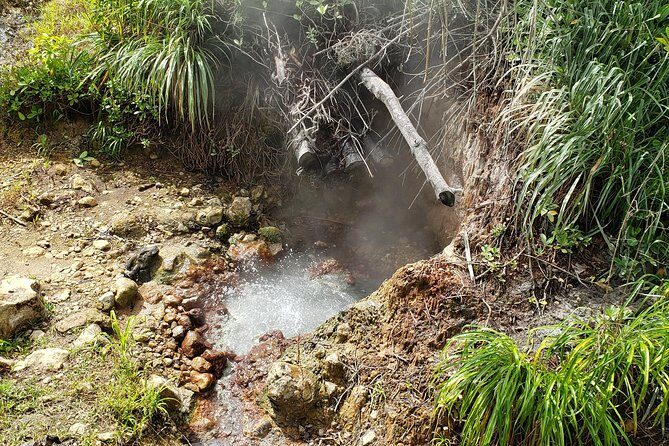 City Tour with Botanical Gardens, Trafalgar Falls & Morne Bruce - Final Thoughts