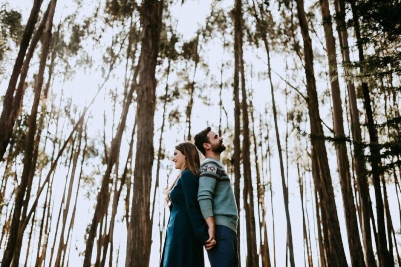 city tour with visit to Bosque eucaliptos - Key Points