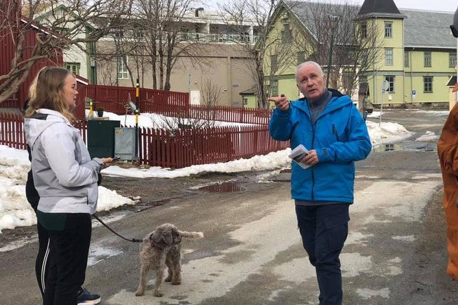 City walk in Mo I Rana - Practical Details and Value