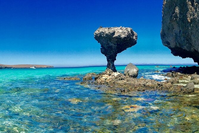 CityTour La Paz, Balandra beach and the Magic Town of Todos Santos - The Itinerary: A Deep Dive into What You’ll Experience