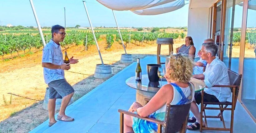 Ciutadella de Menorca: Family Winery Tour with Wine Tasting - A Closer Look at the Experience