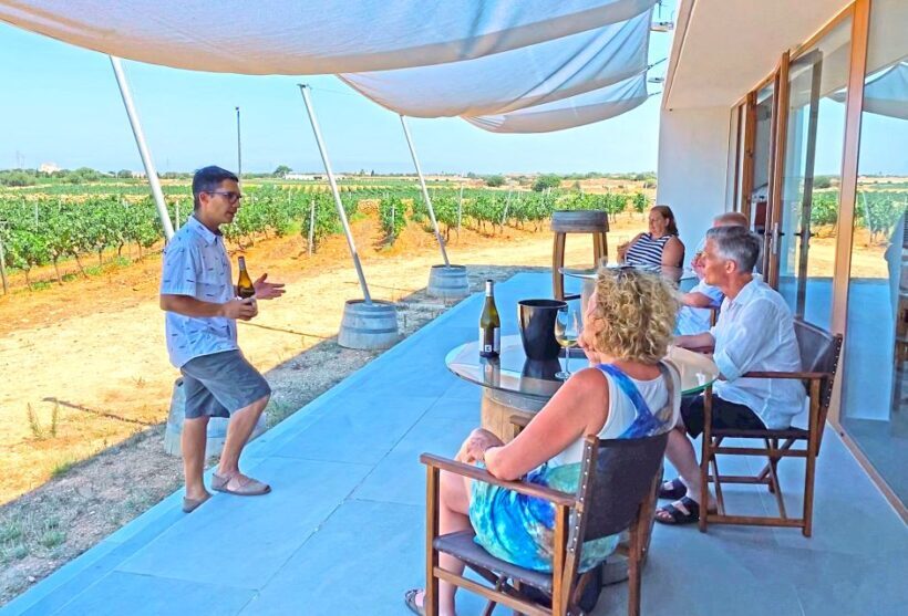 Ciutadella de Menorca: Family Winery Tour with Wine Tasting - Price and Value
