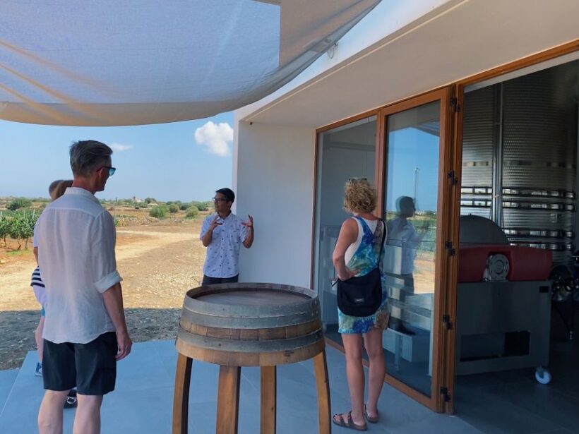 Ciutadella de Menorca: Family Winery Tour with Wine Tasting - Who Should Try This Tour?