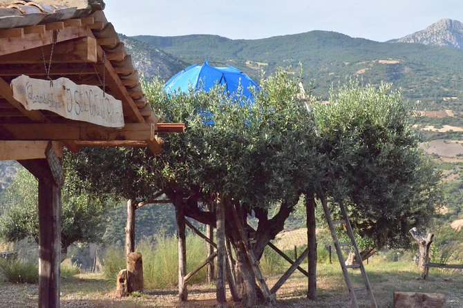 CIVITA EXPERIENCE Borgo Gole Mountain and ... RAPACI of Pollino - Highlights of the Tour Itinerary