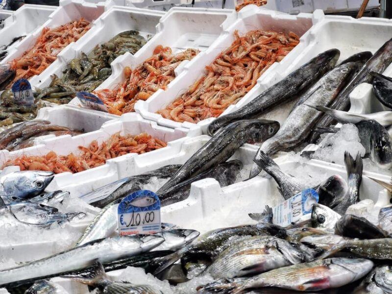 Civitavecchia: Historical and Culinary Walking Tour - Final Thoughts: Is It Worth It?