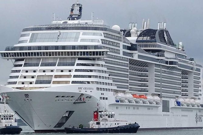 Civitavecchia to Fiumicino Airport - Private Transfer - Company Information and Contact