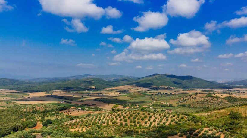 Civitavecchia: Tuscany Full-Day Guided Trip w/Wine Tasting - Key Points