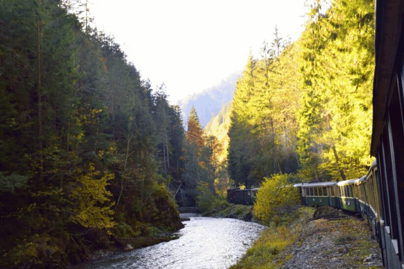 CJ03 - Day trip to Maramures Mocanita Train from Cluj Napoca - An In-Depth Look at the Experience
