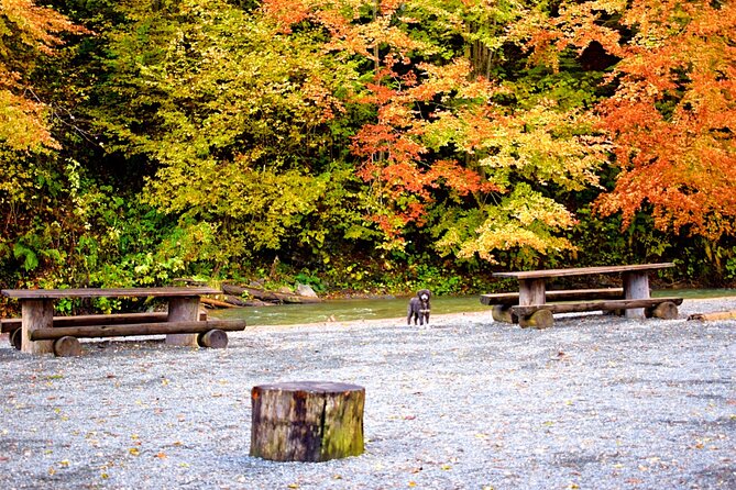 CJ03 - Day trip to Maramures Mocanita Train from Cluj Napoca - The Region’s Traditional Wooden Architecture and History