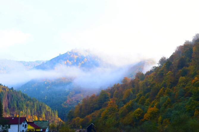 CJ03 - Day trip to Maramures Mocanita Train from Cluj Napoca - Reflection and Return