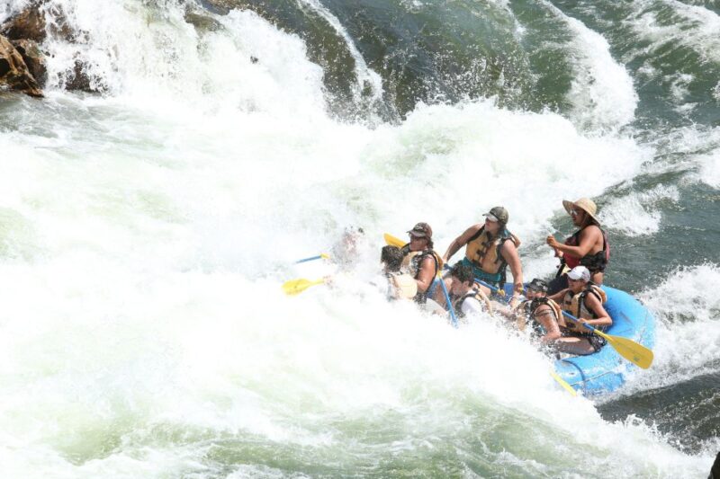 Clark Fork River Full Day Whitewater Rafting Trip - Key Points