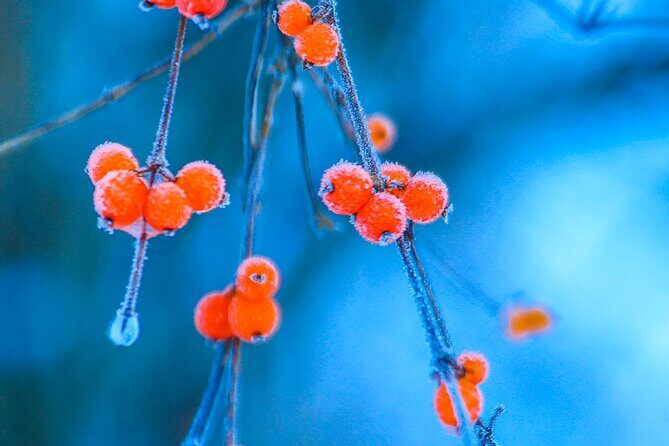 Classic 3-Day Jiuzhaigou Tour from Chengdu (Transport+Tickets) - FAQ about the Jiuzhaigou 3-Day Tour