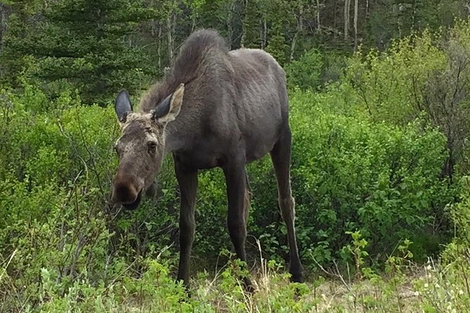 Classic ATV Adventure With Back Country Dining - Preparing for the Adventure