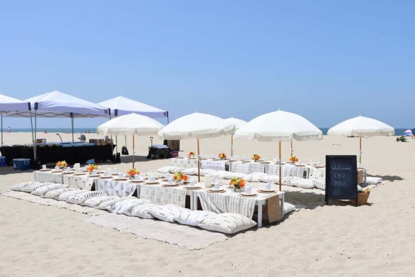 Classic Beach Picnic in Santa Monica - A Closer Look at the Santa Monica Beach Picnic Experience