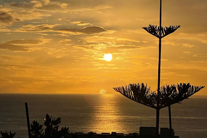 Classic Car / Half Day Tour / Day Tour / Private Tour Madeira - Highlights of the Private Tour Experience