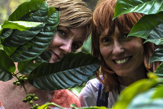 Classic Coorg Coffee Plantation experience - Practical Tips for Visitors